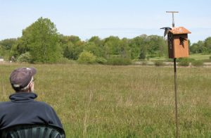 How to Create and Manage Tree Swallow Nest Box Projects